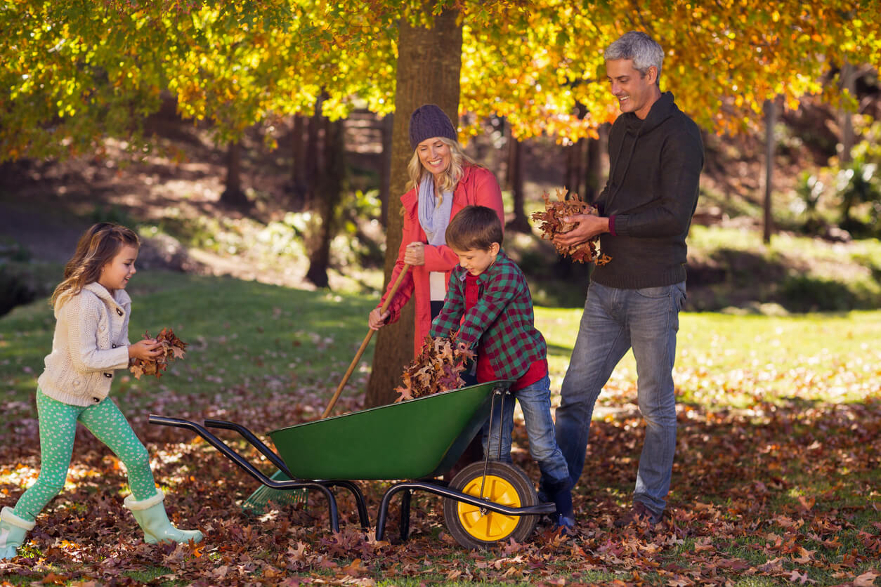 Co-op Program Examples by Co-op Connect